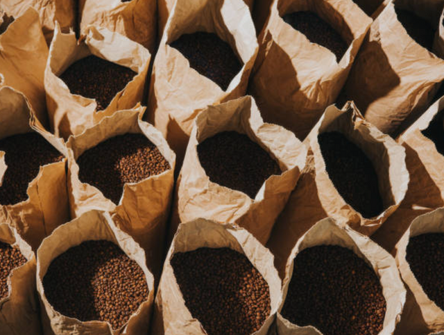 deLima Coffee Factory Store